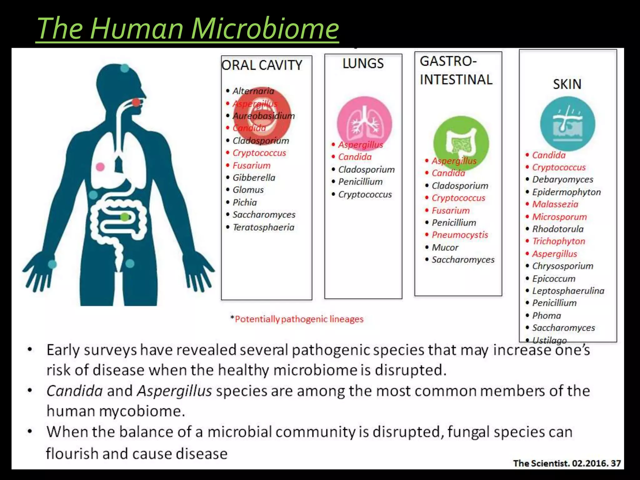 Human Microbiome Projects | PPT