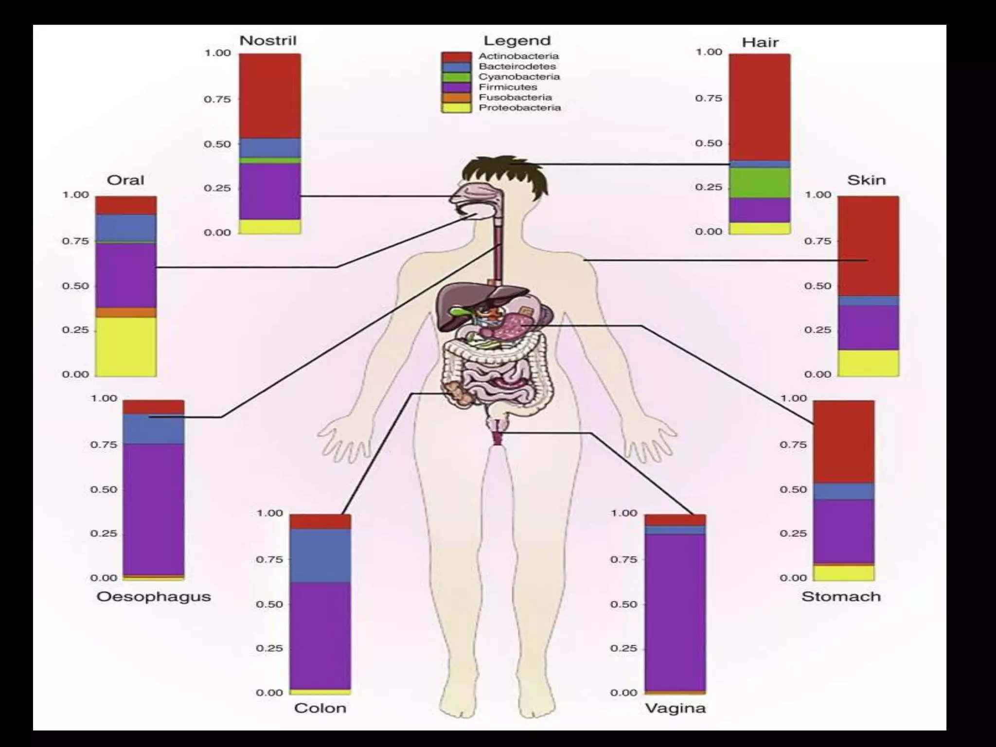 Human Microbiome Projects | PPTX