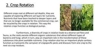 What is Conservation Agriculture? | PPTX