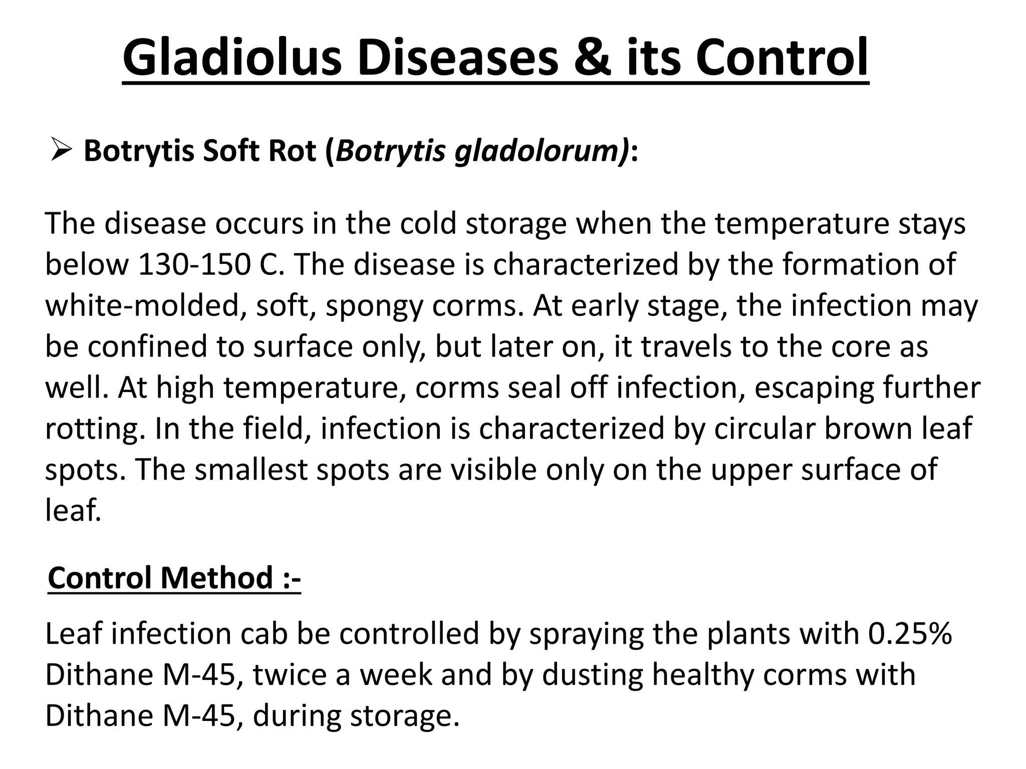 Gladiolus Diseases & Marigold Diseases | PPTX