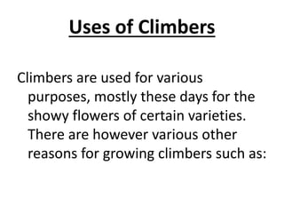 Climbers | PPTX