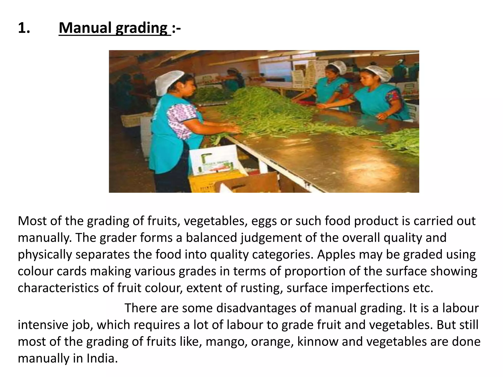 Cleaning & Grading Equipments For Fruit and Vegetable | PPTX