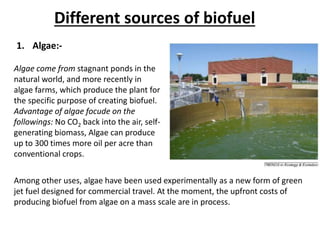 Bio-Fuels Biodiesel And Ethanol Product | PPTX