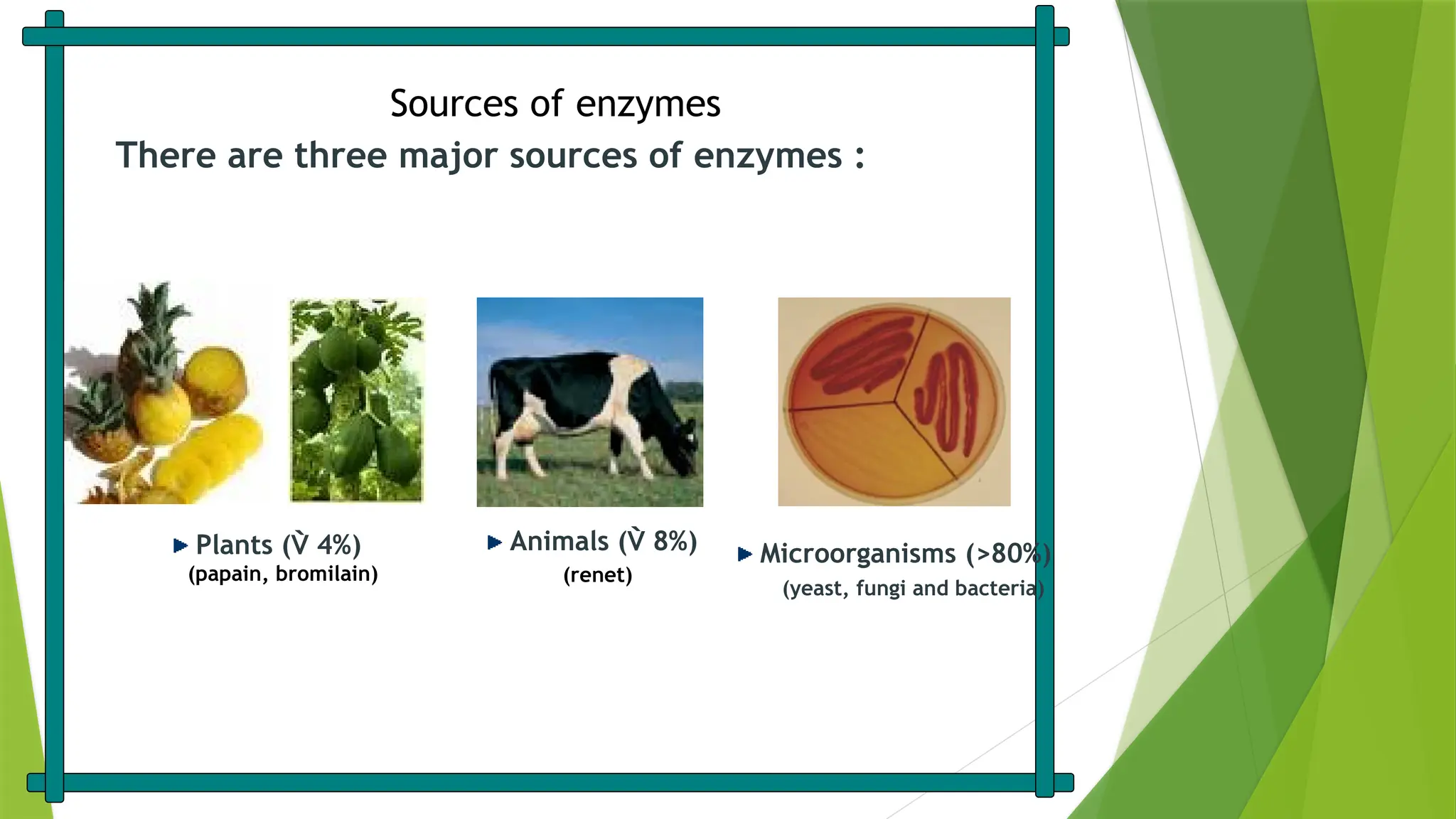 Enzymes (Functional proteins), characteristics and their applications ...