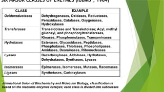 Enzymes (Functional proteins), characteristics and their applications ...