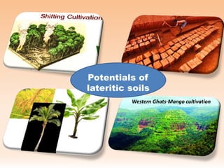 Lateritic Soils and Constraints in crop production | PPTX
