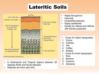 Laterite Soil Profile