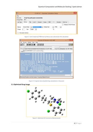 Drug Design Project on Quantum Computation and Molecular Docking | PDF