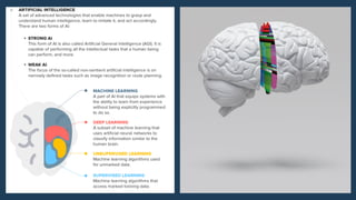Assignment Neuroscience to AI | PDF