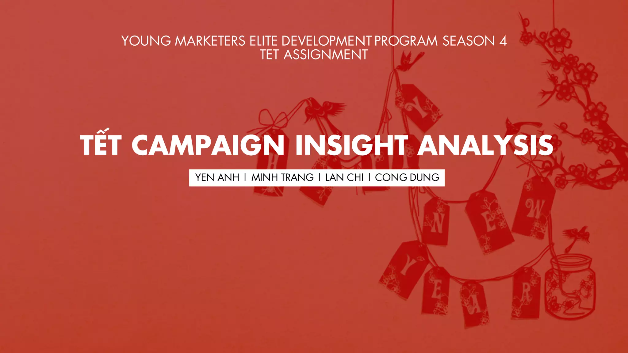 Assignment tết - phân tích insight | PDF | National & Civic Holidays | Holidays