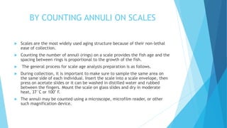 DETERMINATION OF AGE AND GROWTH OF FISH.pptx