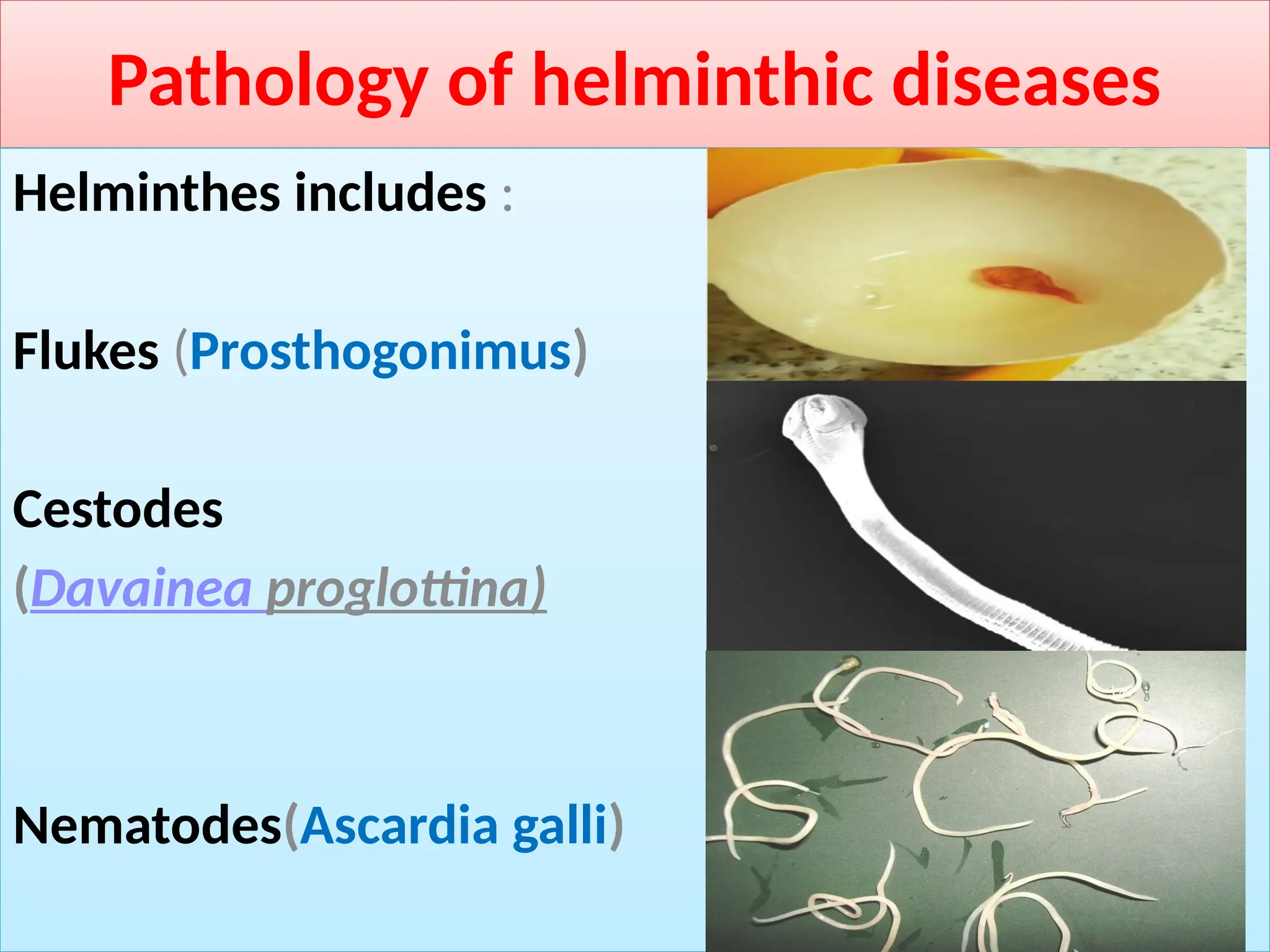 Poultry diseases , Avian parasitic infections, deficiency disorders ...