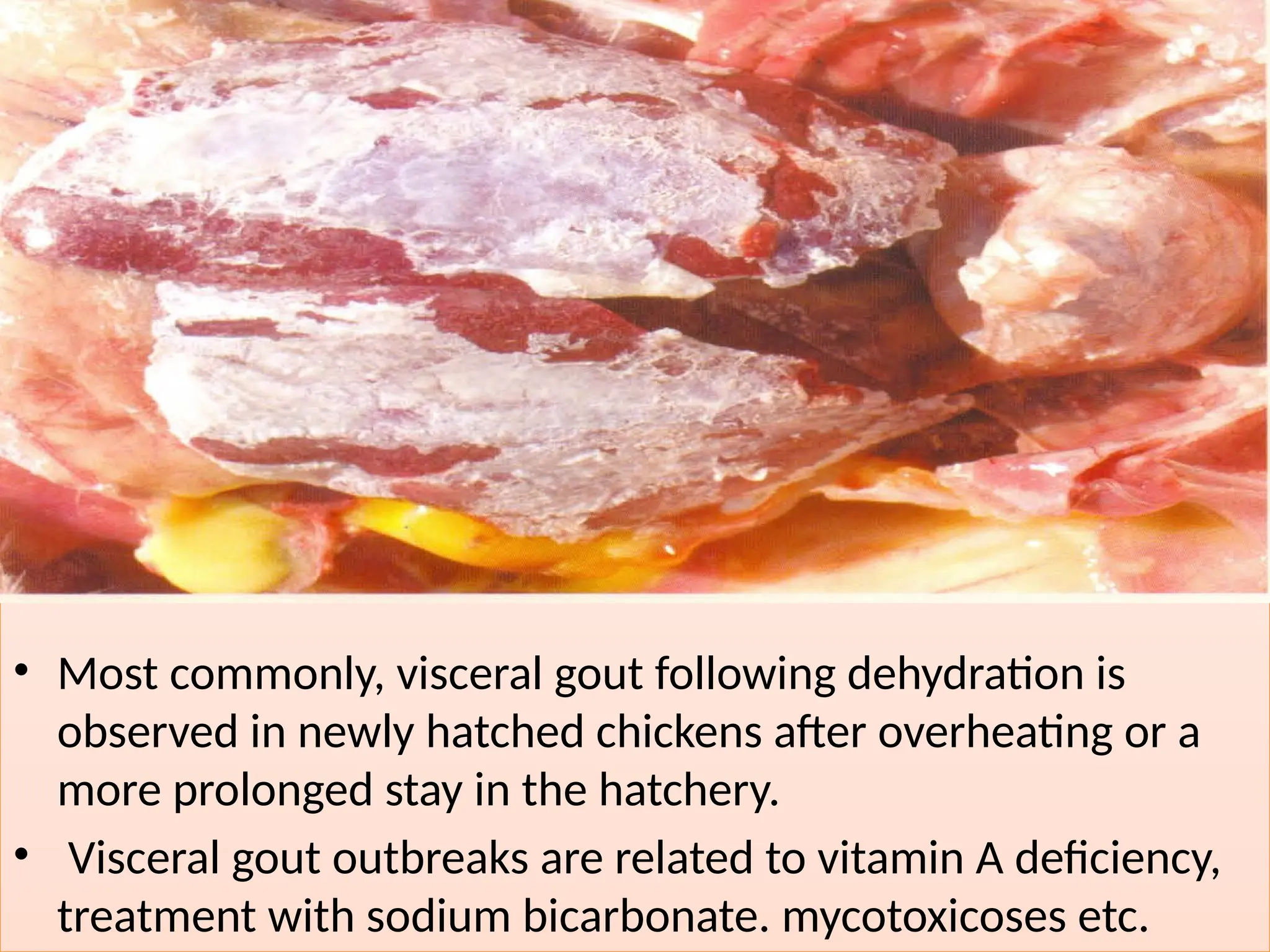 Poultry diseases , Avian parasitic infections, deficiency disorders ...