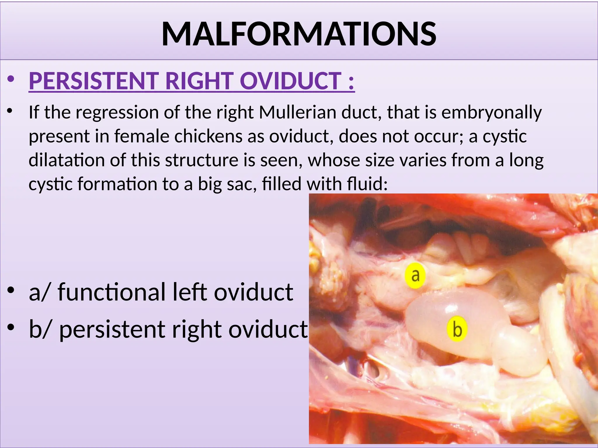 Poultry diseases , Avian parasitic infections, deficiency disorders ...