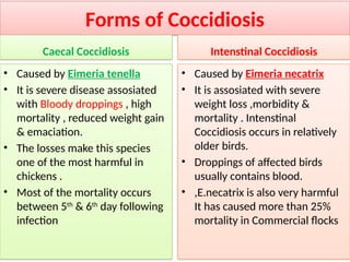 Poultry diseases , Avian parasitic infections, deficiency disorders ...