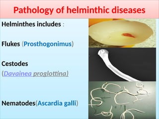 Poultry diseases , Avian parasitic infections, deficiency disorders ...
