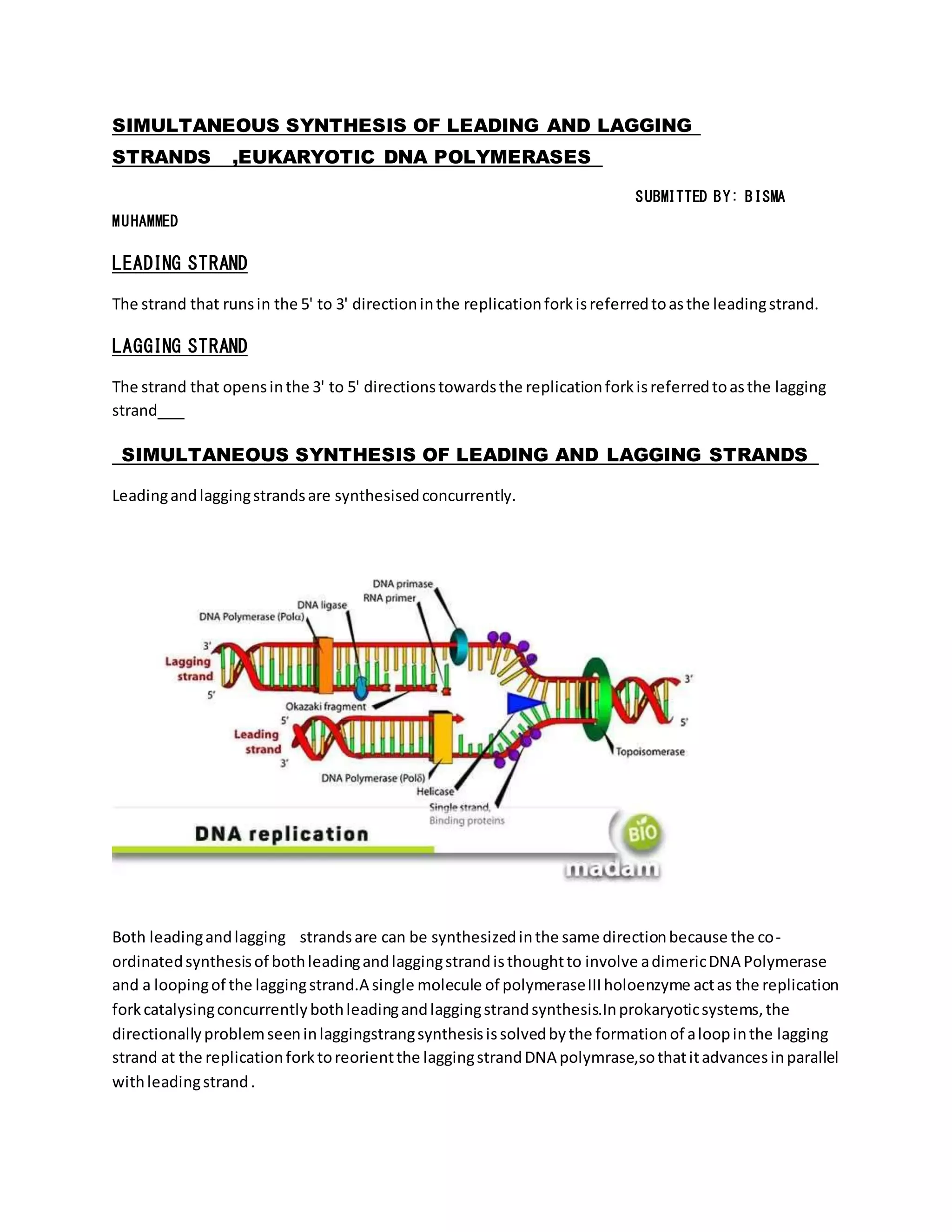 Lagging and leading strand synthesis ,Eukaryotic dna polymerases | DOCX