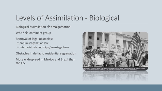 Assimilation | PPTX | Debated Sensitive Social Issues | Sensitive Topics
