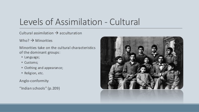 Cultural Assimilation