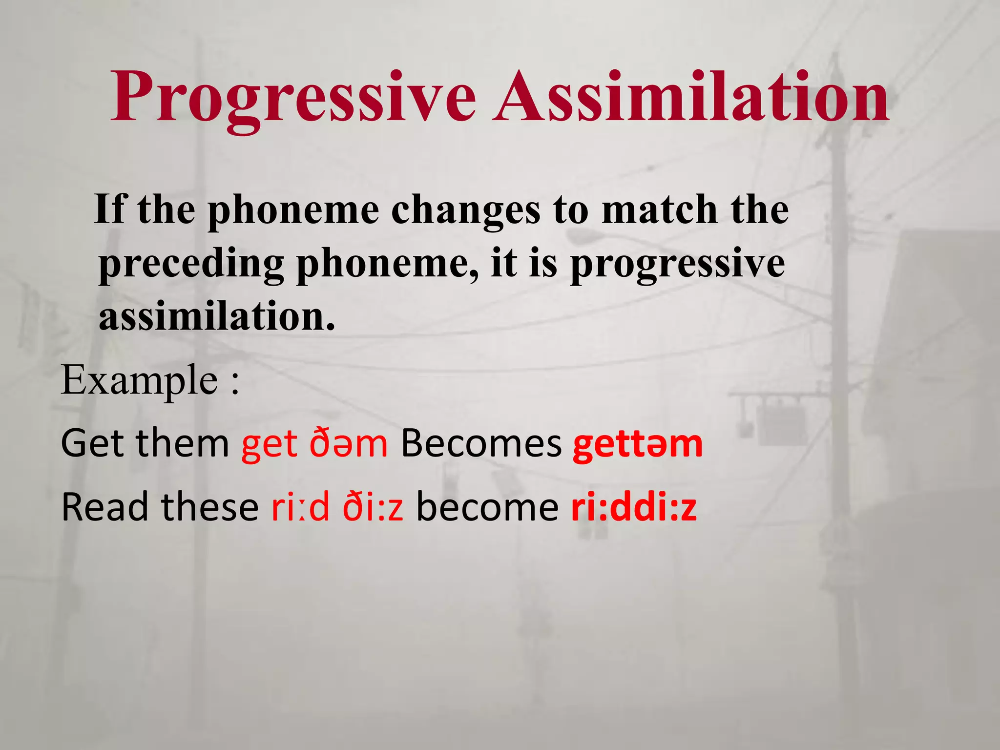 Assimilation.pdf