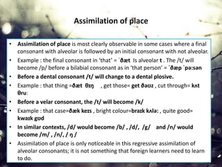 Assimilation.pdf