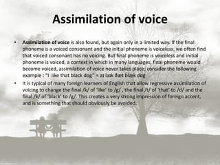 Assimilation.pdf