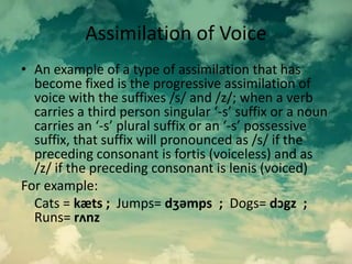 Assimilation.pdf