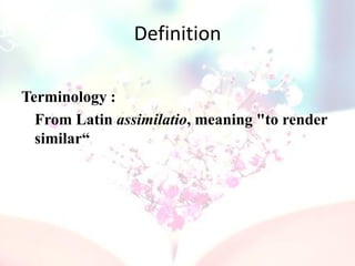 Assimilation.pdf | Dogs | Pets