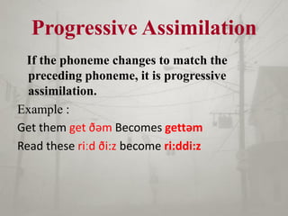 Assimilation.pdf
