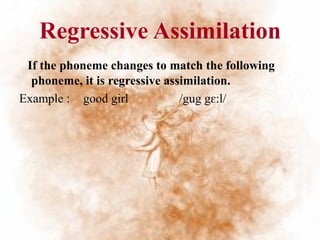 Assimilation.pdf