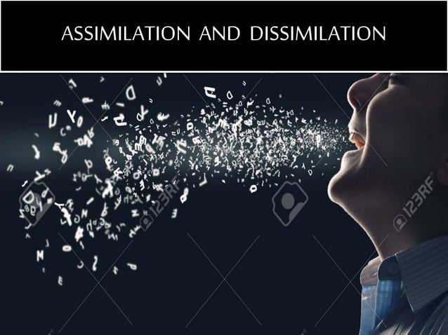 Assimilation and Dissimilation | PPTX