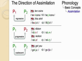 Assimilation in English Language | PDF