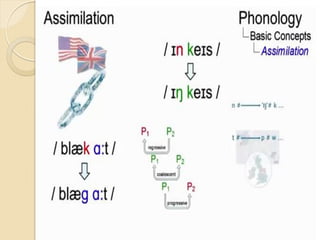 Assimilation in English Language | PDF