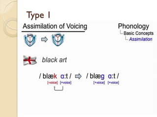 Assimilation in English Language | PDF