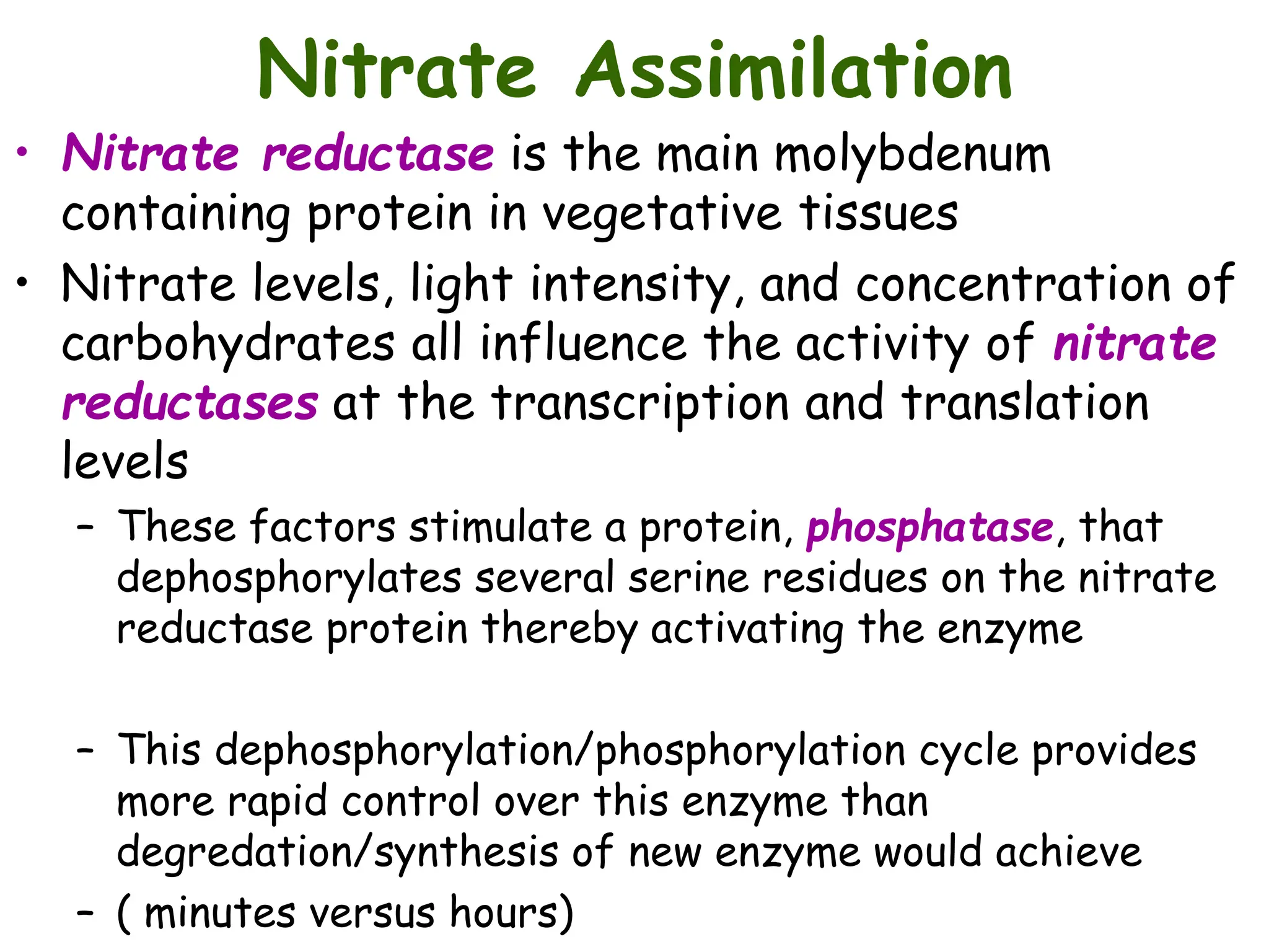 Assimilation n Nitrogen fixation.ppt
