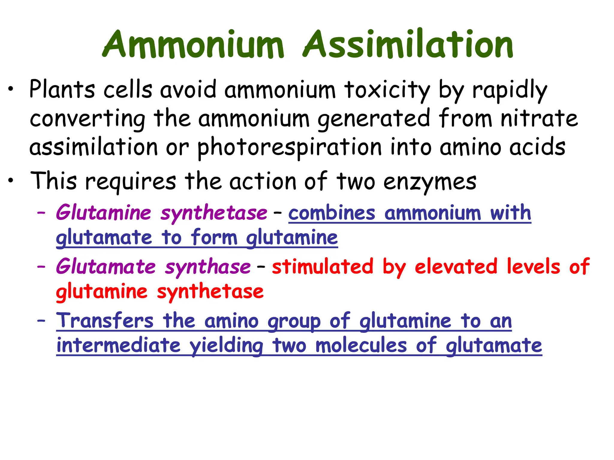 Assimilation n Nitrogen fixation.ppt