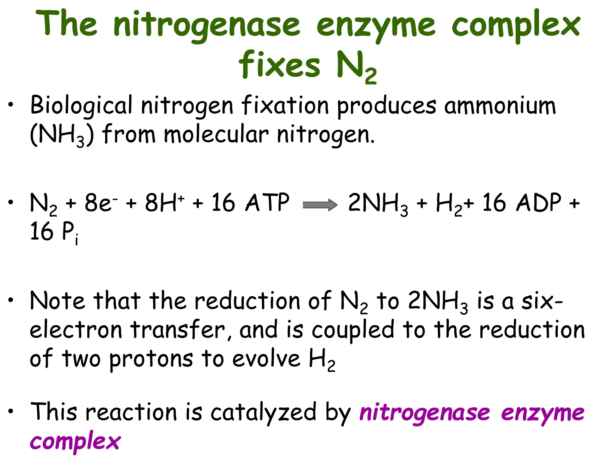 Assimilation n Nitrogen fixation.ppt