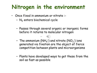 Assimilation n Nitrogen fixation.ppt