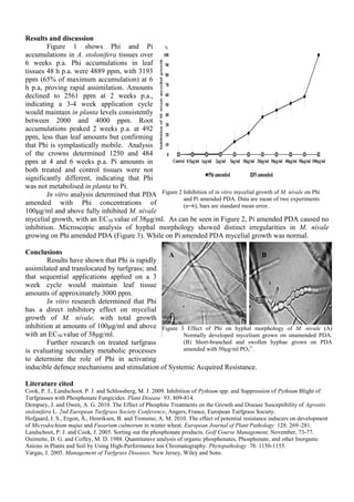 Assimilation Of Phosphite By A. Stolonifera L. And Its In Vitro Effect ...