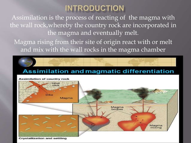 Assimilation | PPTX | Chemistry | Science