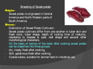 Assing. 2 sweet potato | PPT