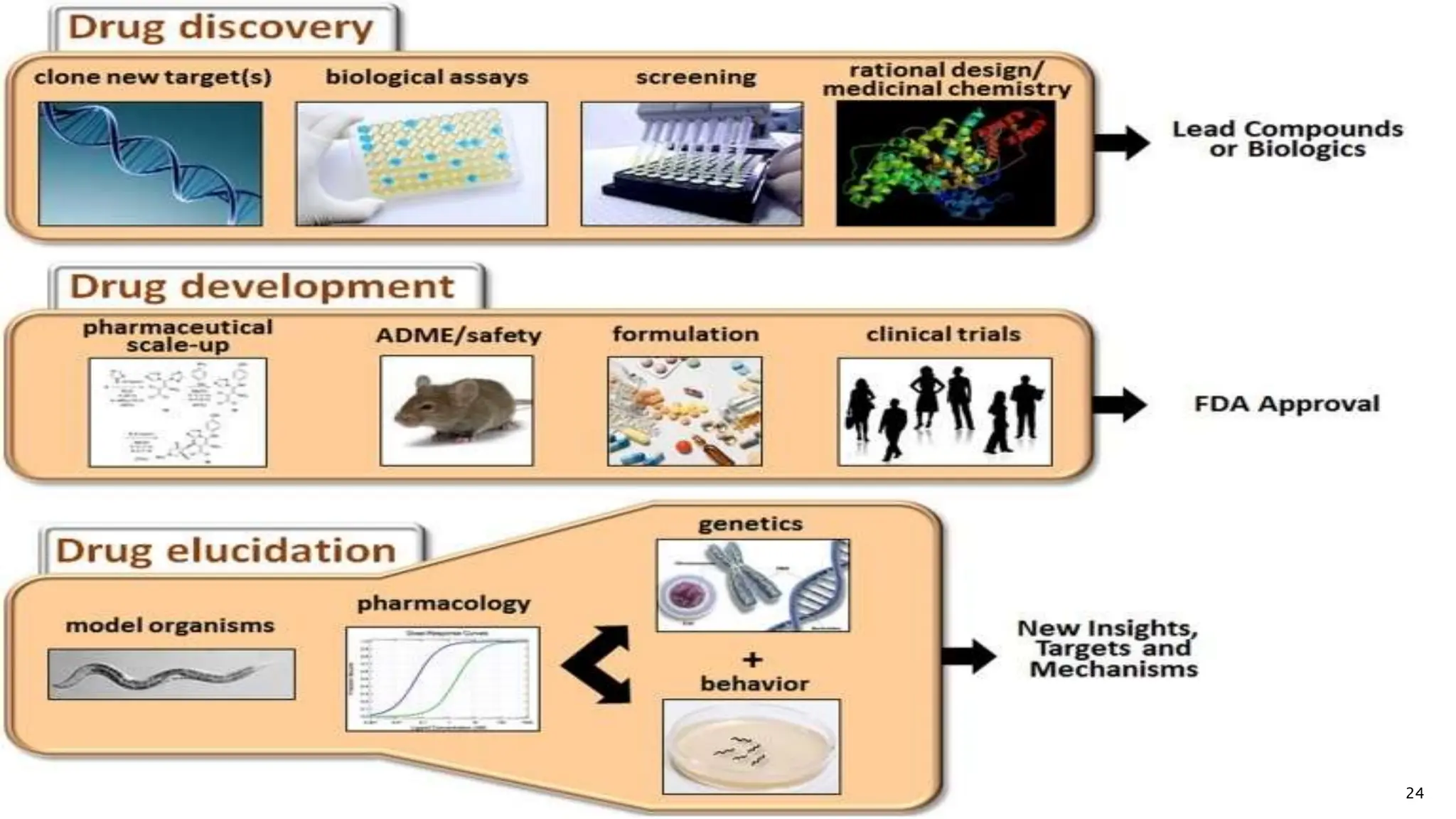 principle of drug delivery | PPTX