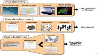 principle of drug delivery | PPT