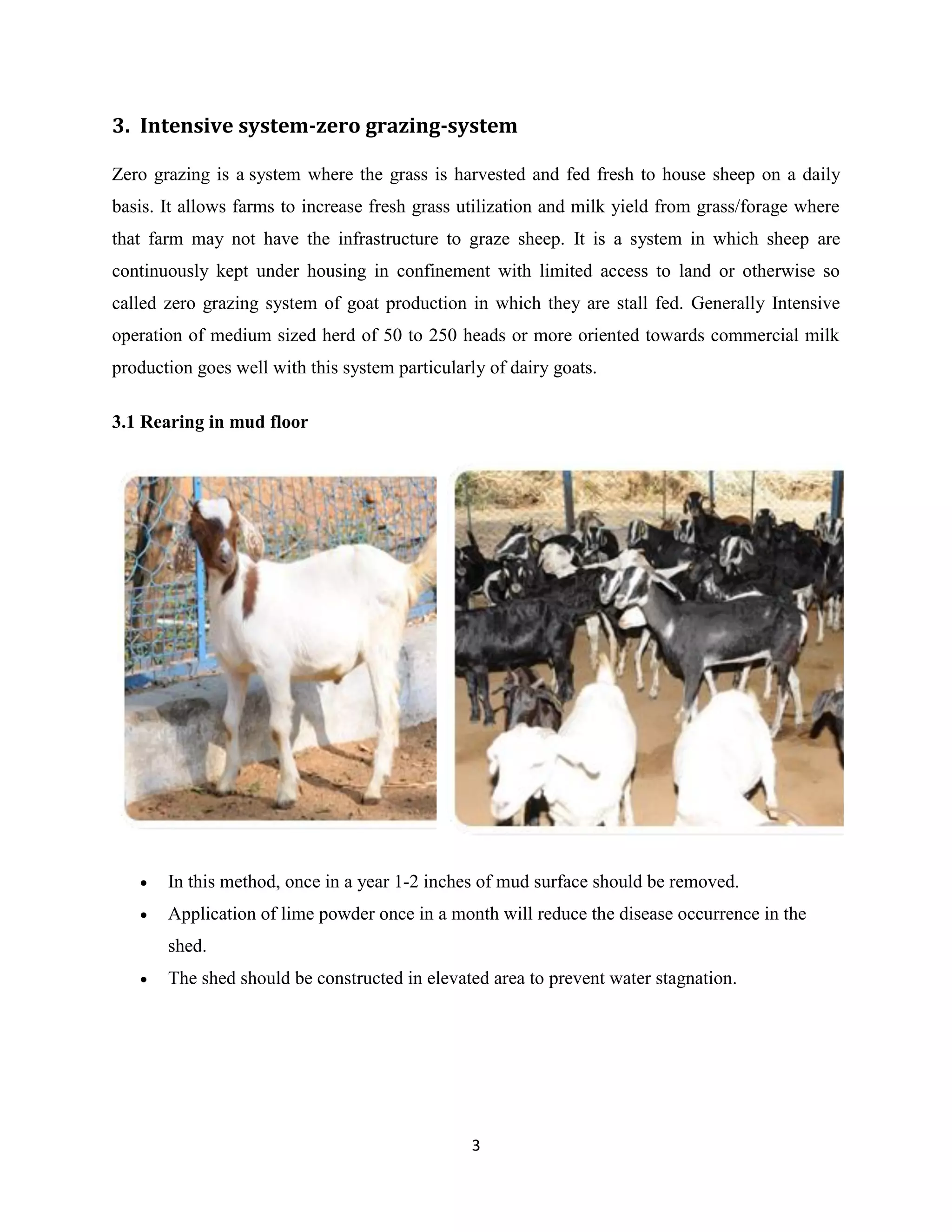 three systems used to feed sheep and goats and How and why flushing is ...