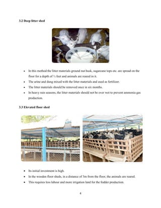 three systems used to feed sheep and goats and How and why flushing is ...