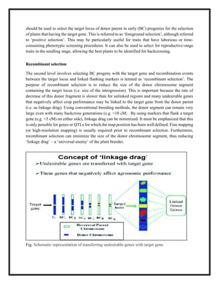 assingment on marker assisted backcross breeding | PDF