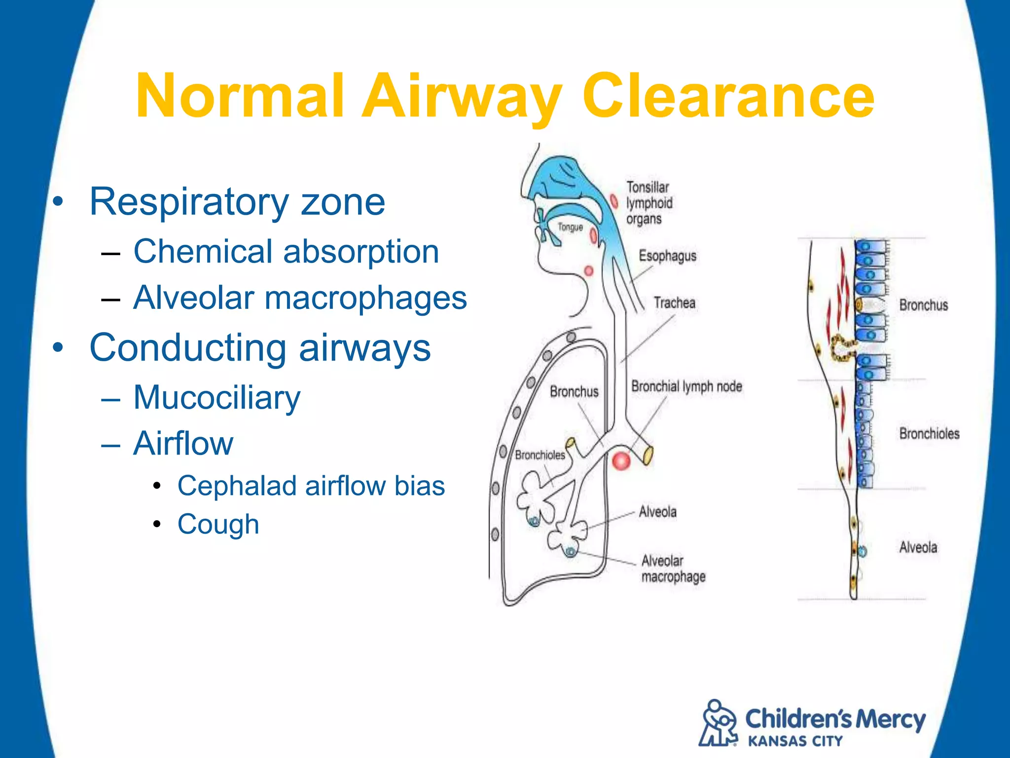 Assisted Airway Clearance in Pediatric Respiratory Disease | PPTX