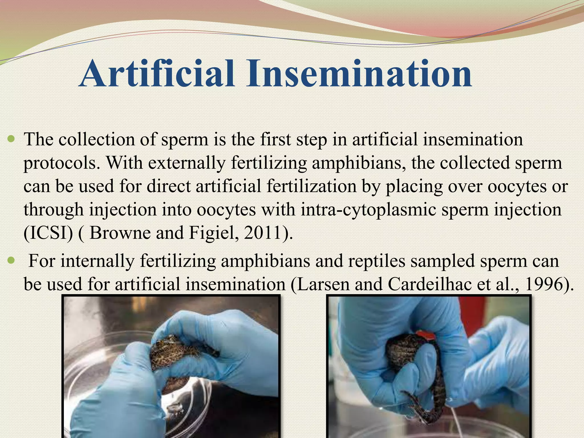 Assisted Reproductive Technologies ARTs in Amphibians | PPTX