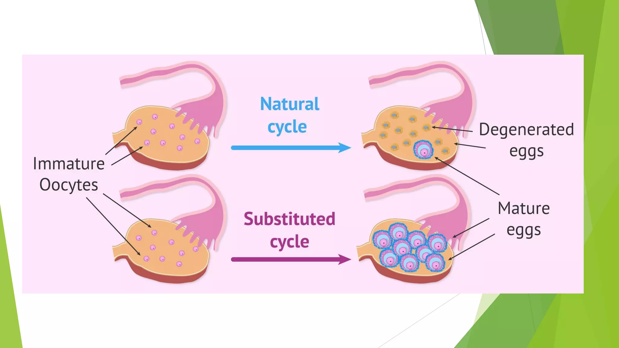 Assisted reproductive technology | PDF
