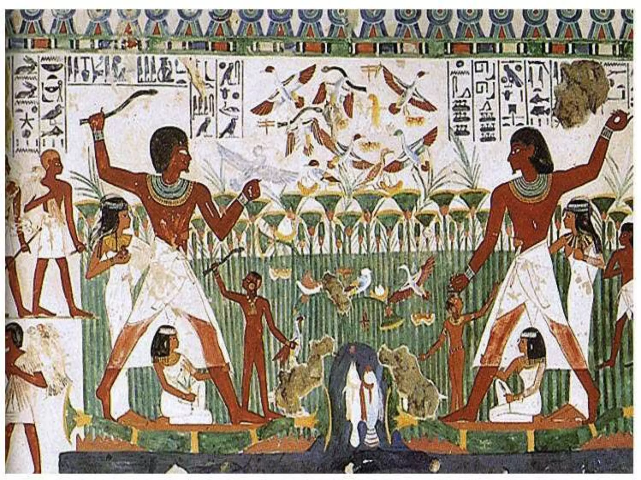 Health ,Disease, and Medical Practice in Ancient Egypt | PPTX